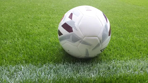 Natural Turf Sand For Sports Pitches