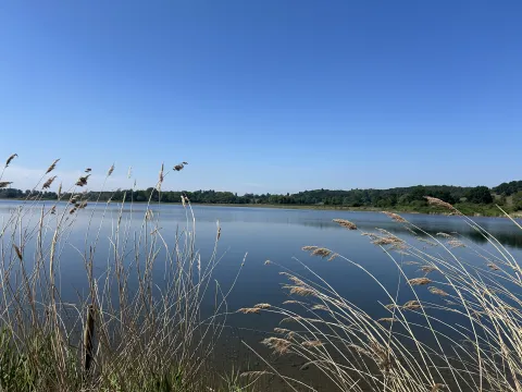 From quarry to conservation: Holcim UK restores Newbold Quarry for ...